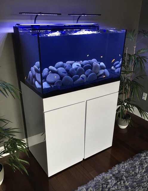 Most Beautiful Freshwater Tanks ( All Time )