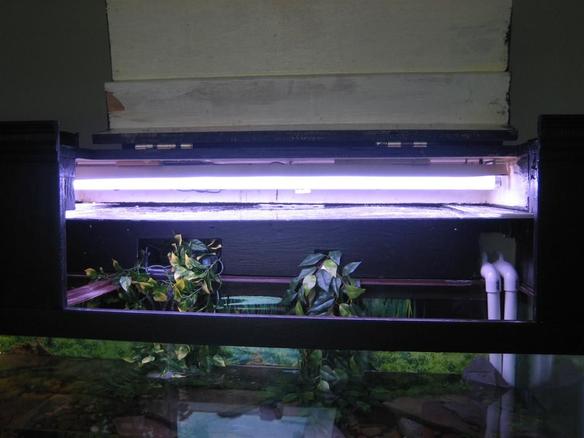 Photo #1 - Image Of Home Made Custom Turtle Tank Setup.